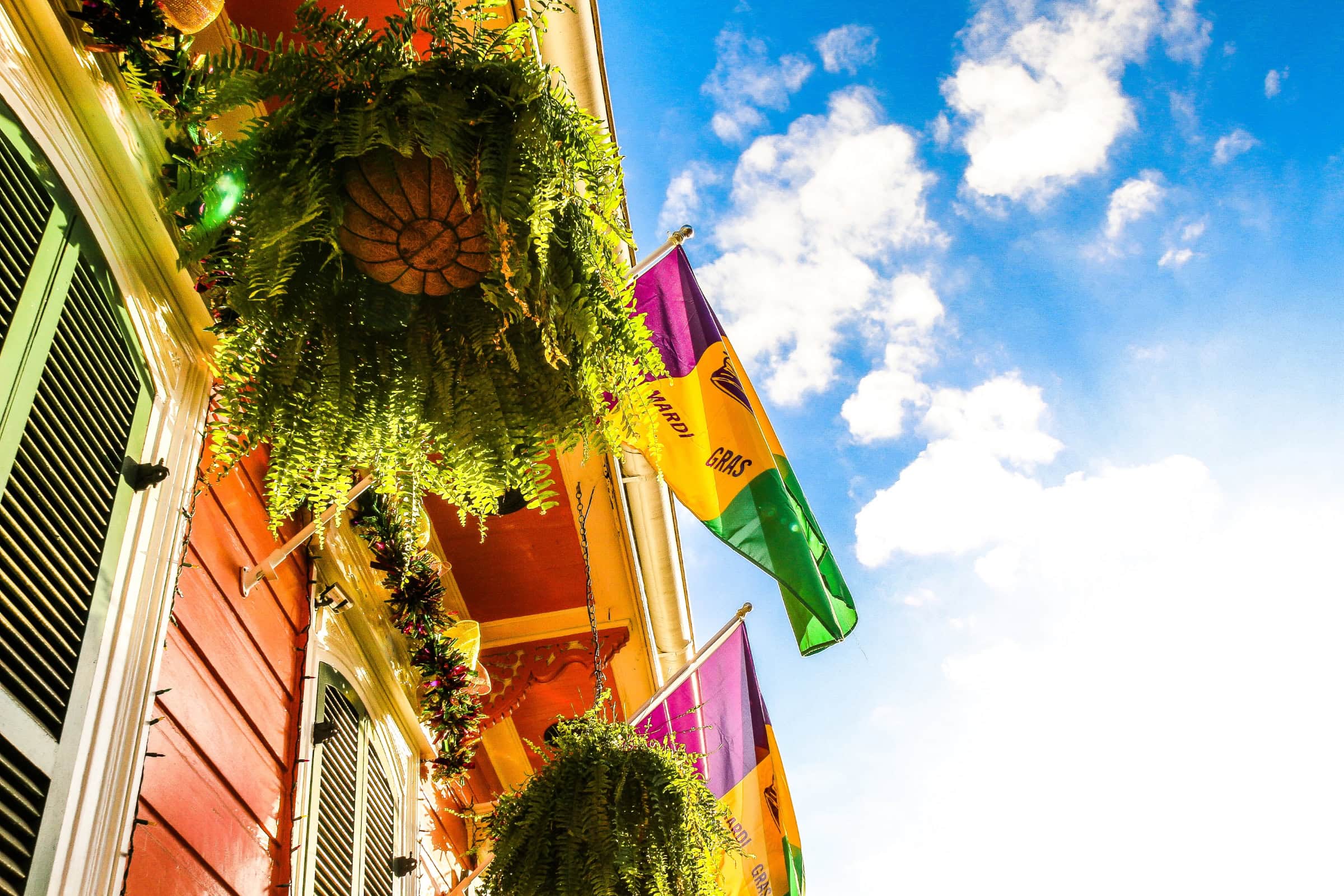 Program & Events - ACHA